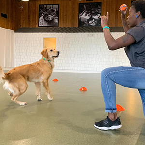 Fitness Center - Vet in Durham | Page Point Animal Hospital & Pet Resort